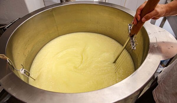 Margarin Terbuat dari Apa? Ini Bahan dan Proses Pembuatannya